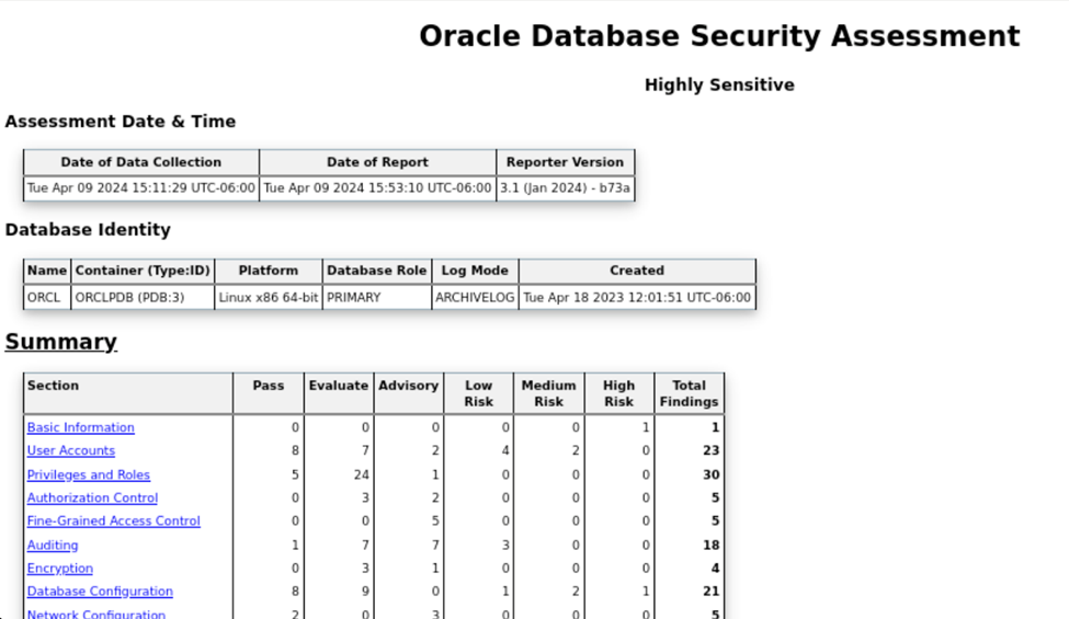 How To Use Oracle Database Security Assessment Tool (DBSAT)